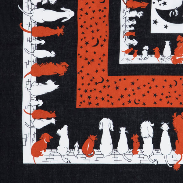 Angela Scarf | Burnley & Trowbridge Co.